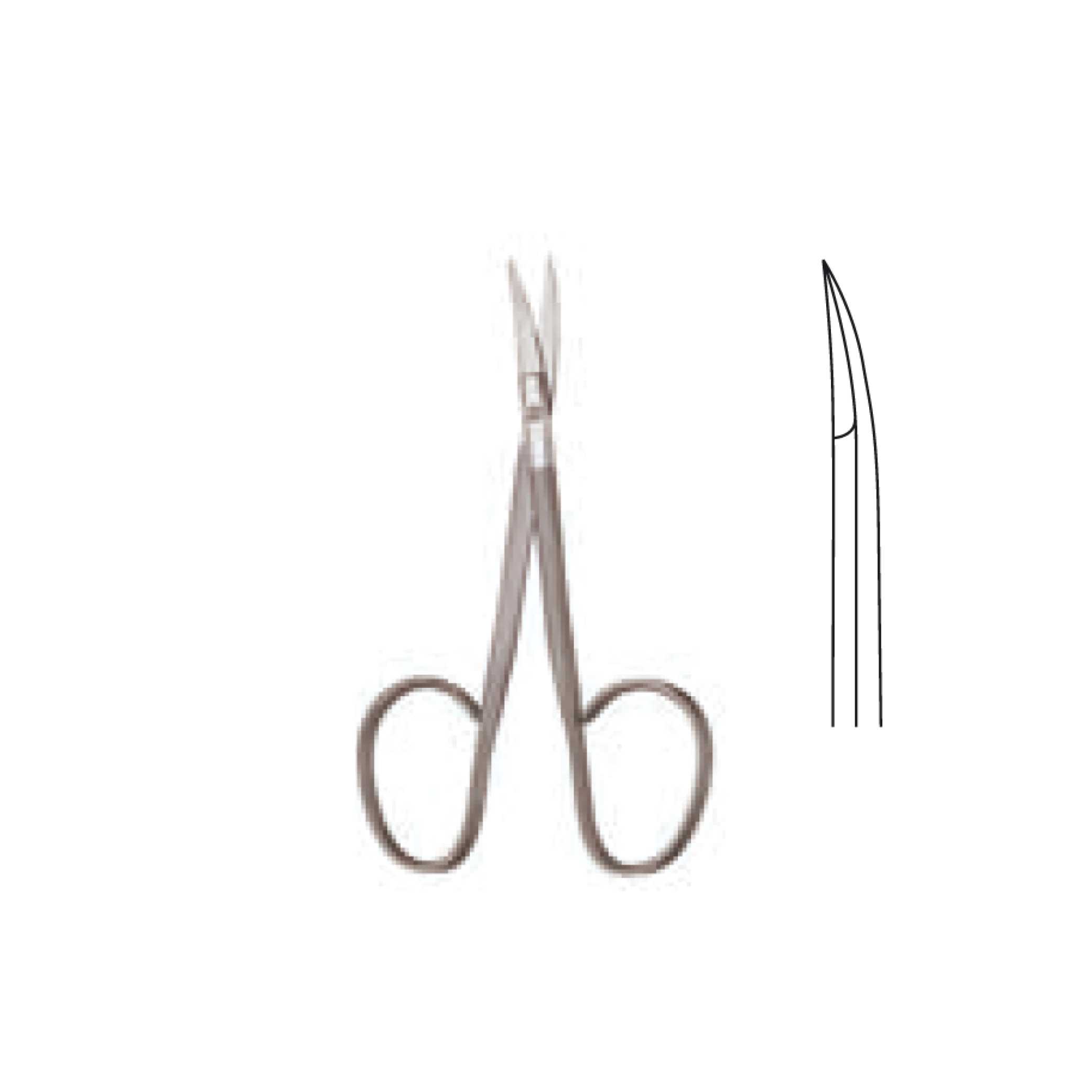 Iris scissors -10,5cm - 41/8" - curved - DMS-023110 buy online at Dermat